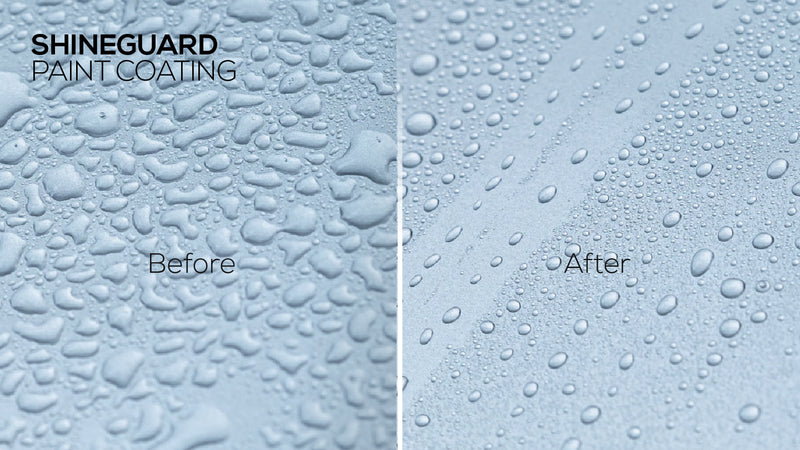 TRAPO Shineguard Car Coating - TRAPO® Car Mat Malaysia